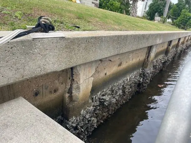 Palm Coast Seawall Repair | Soil Stabilization & Erosion Control